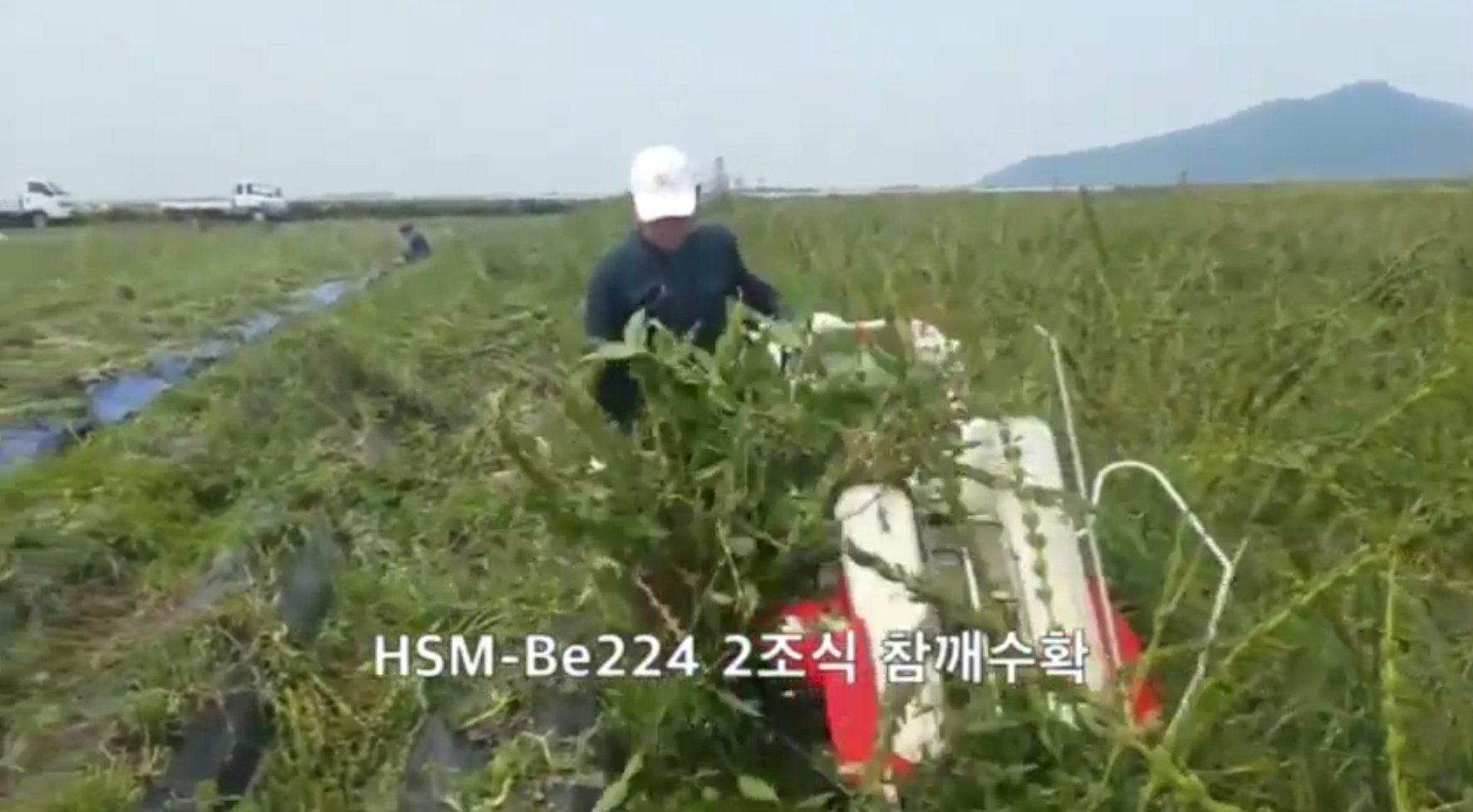 에이치에스엠 - 동력예취기 2조식